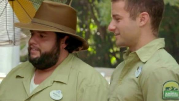 Magic of Disney's Animal Kingdom TV Review | Common Sense Media