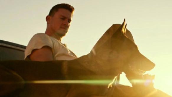 Dog Movie Review | Common Sense Media