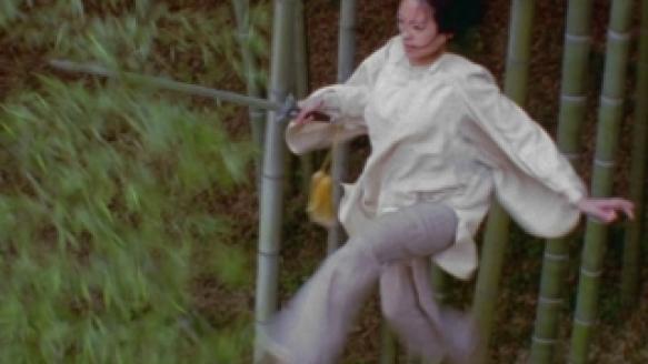 Crouching Tiger, Hidden Dragon Movie Review | Common Sense Media