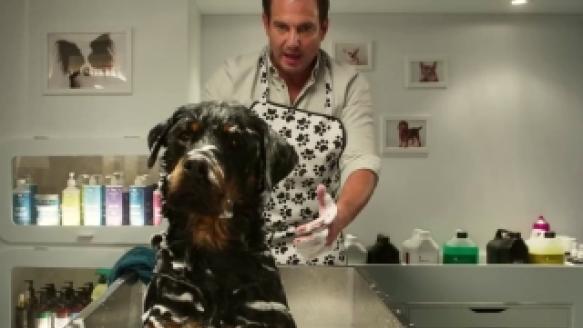 Show Dogs Movie Review | Common Sense Media