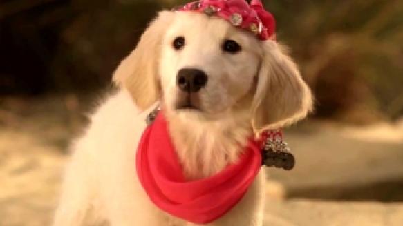 Treasure Buddies Movie Review | Common Sense Media