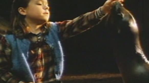 Andre Movie Review | Common Sense Media