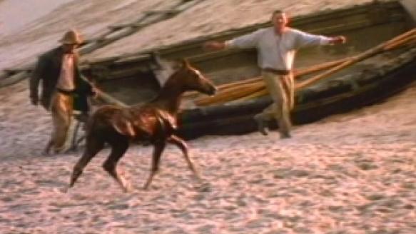 Running Free Movie Review | Common Sense Media