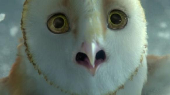 Legend of the Guardians: The Owls of Ga'Hoole Movie Review | Common ...