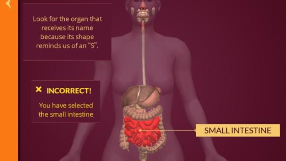 Arloon Anatomy App Review | Common Sense Media
