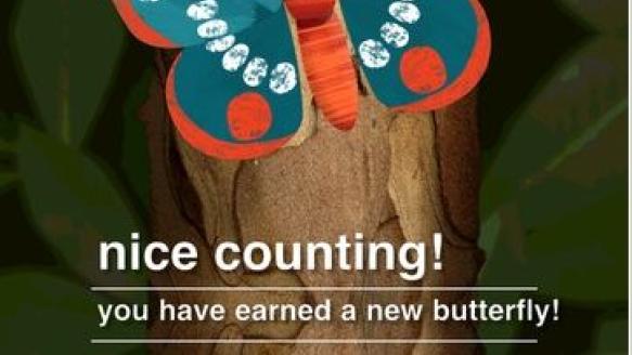 Counting Caterpillar App Review | Common Sense Media