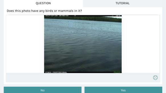 Zooniverse App Review | Common Sense Media