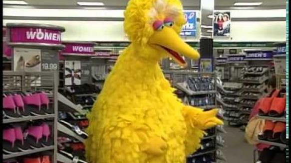 Sesame Street Kids' Guide to Life: Big Bird Gets Lost Movie Review ...