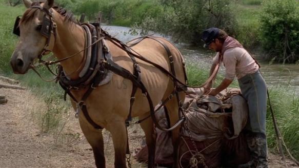 Dances with Wolves Movie Review | Common Sense Media