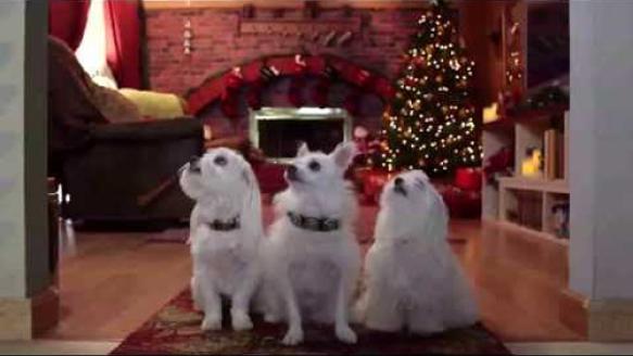 The Three Dogateers Movie Review | Common Sense Media
