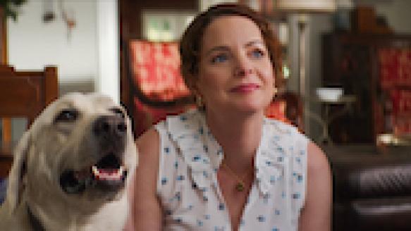 Dog Gone (2023) Movie Review | Common Sense Media
