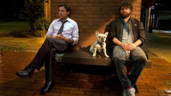 Due Date Movie Review | Common Sense Media