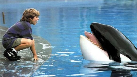 Free Willy Movie Review | Common Sense Media