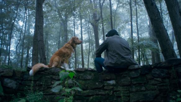 Good Boy Movie Review | Common Sense Media