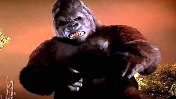 King Kong 1976 Movie Review Common Sense Media