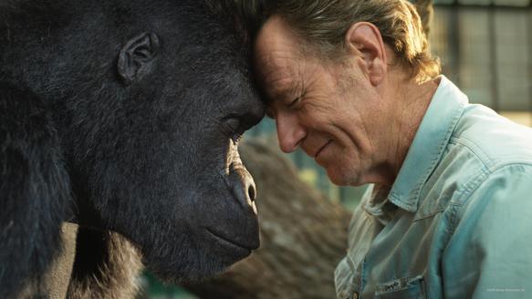 The One and Only Ivan Movie Review | Common Sense Media