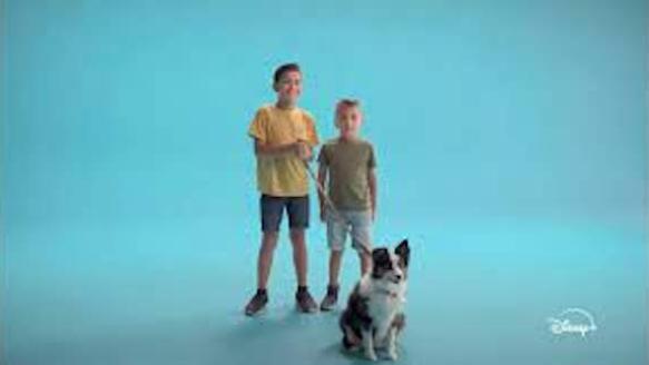 Pets Movie Review | Common Sense Media