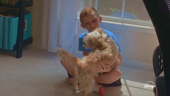 Pets Movie Review | Common Sense Media