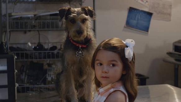 Robo-Dog: Airborne Movie Review | Common Sense Media