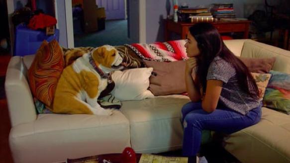 Sam and Elvis Movie Review | Common Sense Media