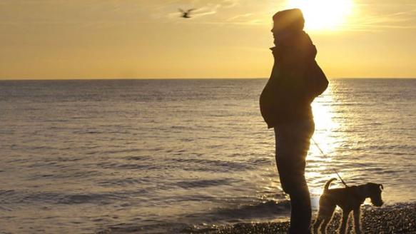 Seahorse Movie Review | Common Sense Media