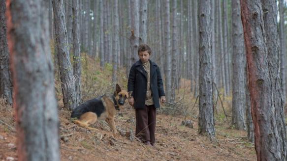 Shepherd: The Story of a Jewish Dog Movie Review | Common Sense Media