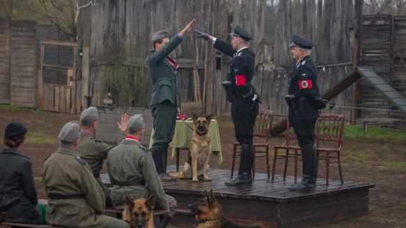 Shepherd: The Story of a Jewish Dog Movie Review | Common Sense Media