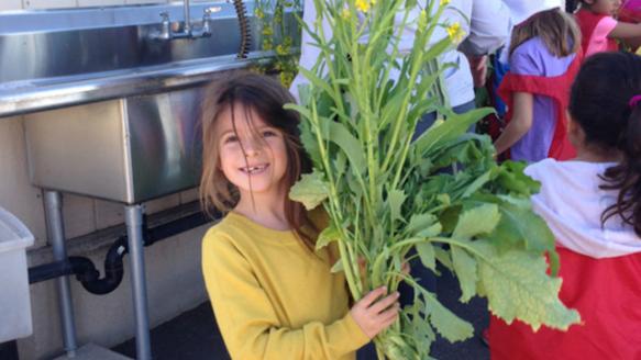 The Kids Menu Movie Review | Common Sense Media