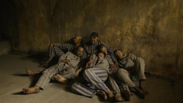 Triumph of the Heart Movie Review | Common Sense Media