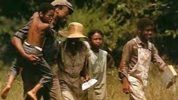 Sounder (1972) Movie Review | Common Sense Media