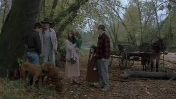 Where the Red Fern Grows (2003) Movie Review | Common Sense Media