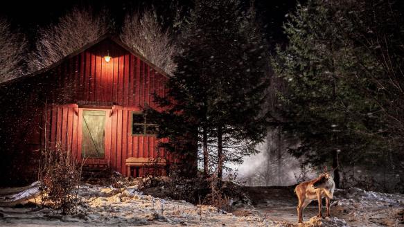 Prancer: A Christmas Tale Movie Review | Common Sense Media