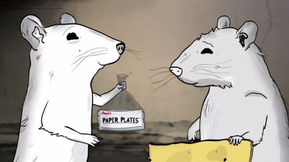 Animals TV Review | Common Sense Media