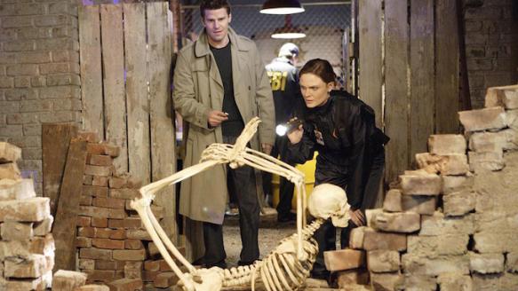 Bones TV Review | Common Sense Media