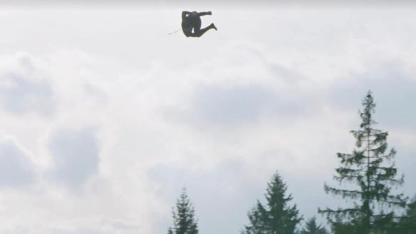 Fly Guys TV Review | Common Sense Media