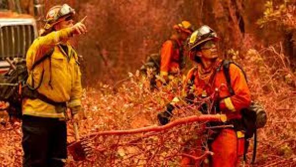 Fire Country TV Review | Common Sense Media