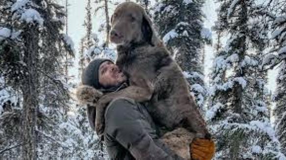 Life Below Zero: Next Generation TV Review | Common Sense Media