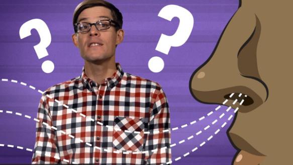 It's OK to Be Smart TV Review | Common Sense Media