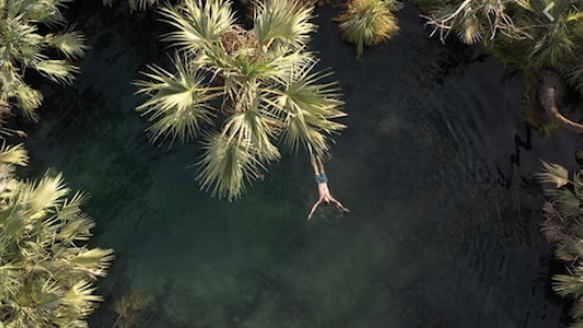 Rogue Trip TV Review | Common Sense Media