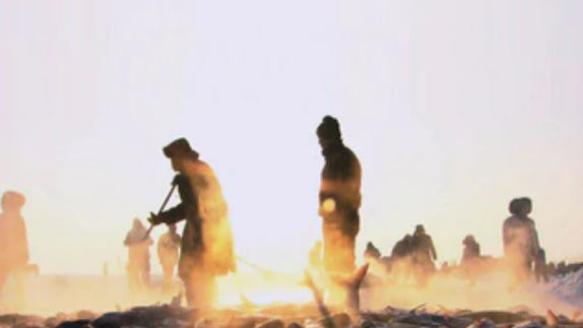 The History of Food TV Review | Common Sense Media