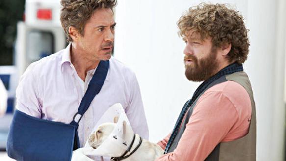 Due Date Movie Review | Common Sense Media