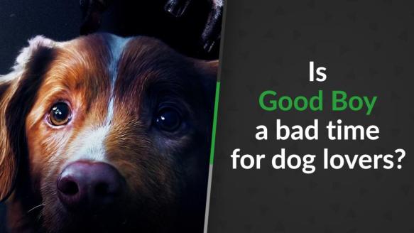 Good Boy Movie Review | Common Sense Media