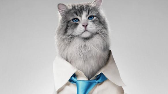Nine Lives Movie Review | Common Sense Media