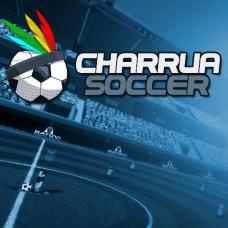 Charrua Soccer Game Review | Common Sense Media
