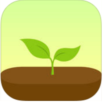 Forest: Stay focused, be present App Review | Common Sense Media