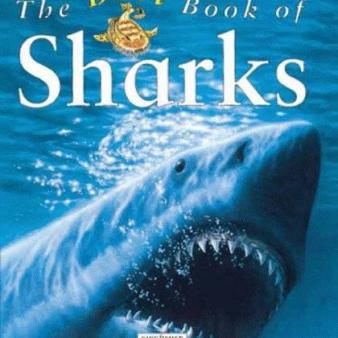 The Best Book of Sharks Book Review | Common Sense Media