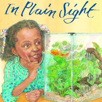 In Plain Sight Book Review | Common Sense Media