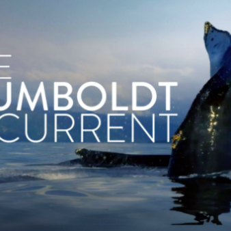 The Humboldt Current TV Review | Common Sense Media