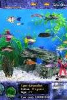 Fish Tycoon Game Review | Common Sense Media
