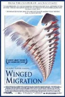 Fly Away Home Movie Review | Common Sense Media